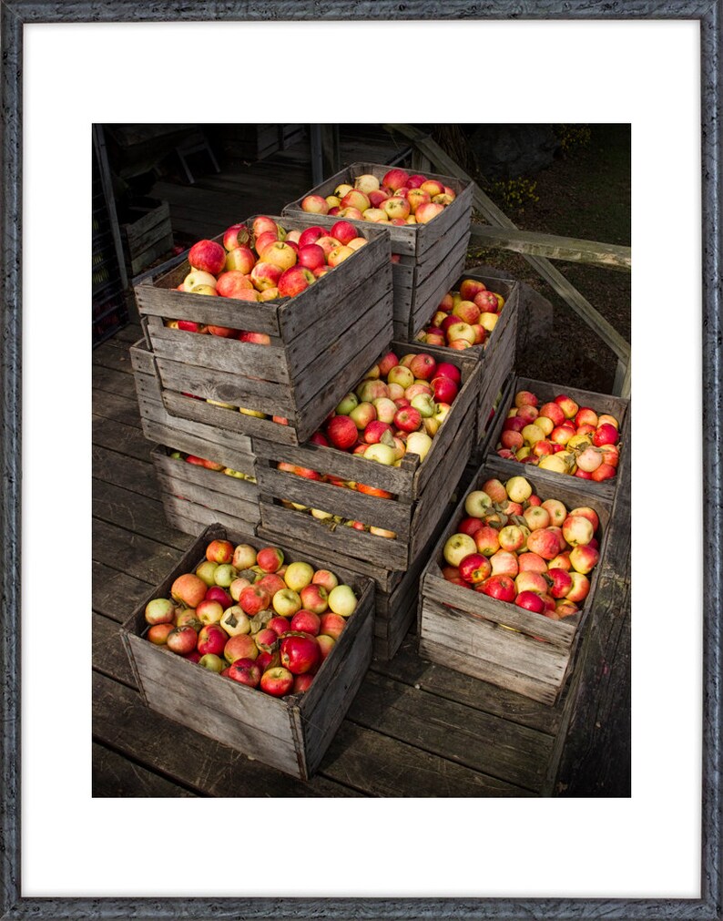 Fall Apples Apple Photograph Apple Crates Cider Press - Etsy