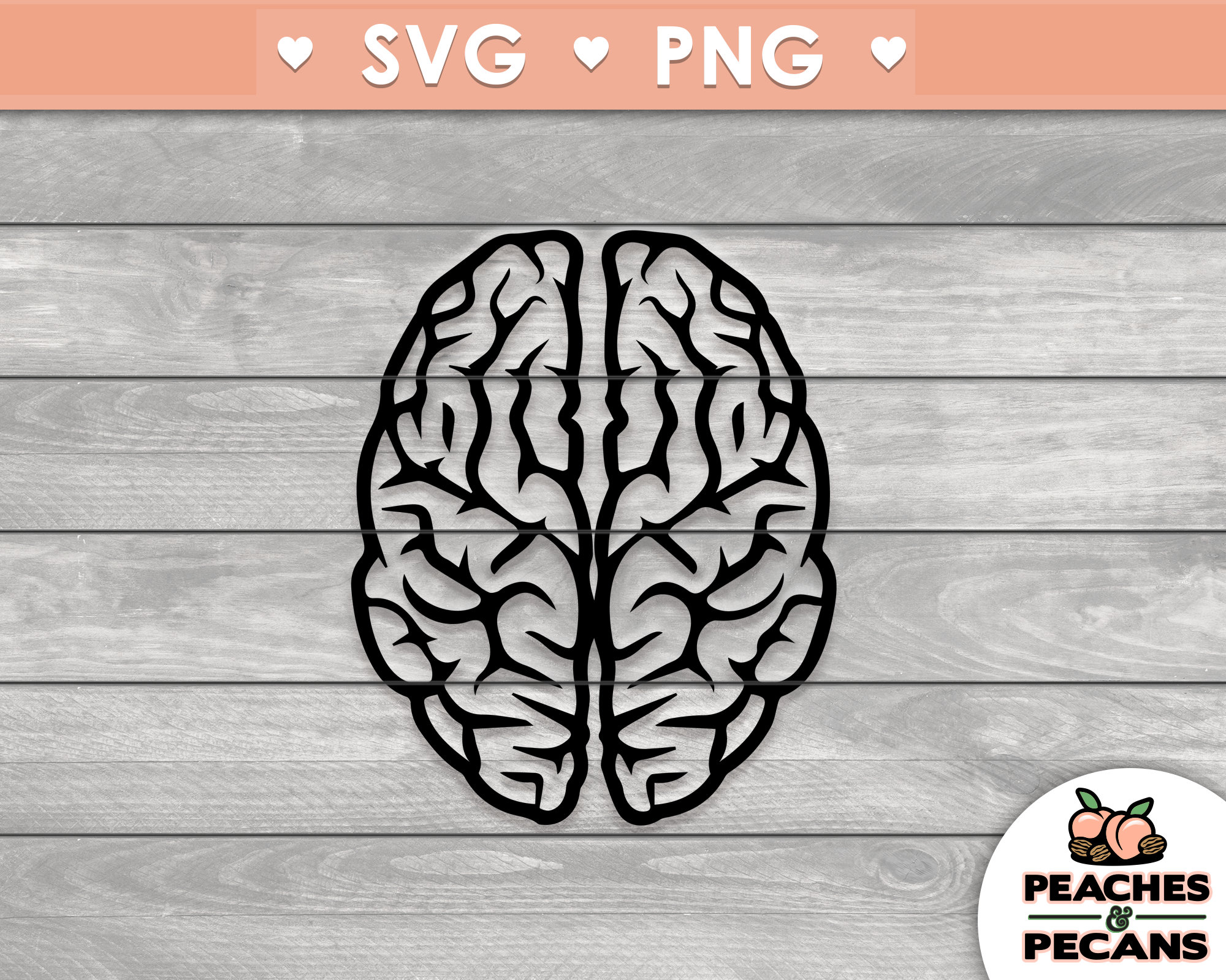 Brains SVG png. Cricut cut file Brain png svg. Brains svg cut | Etsy