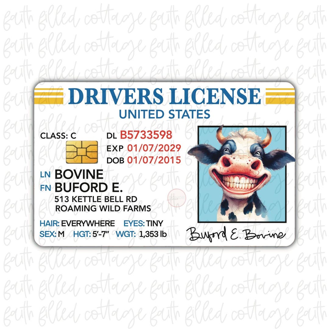 Funny Drivers License Cow - Drivers License, Debit Card Skin, Debit ...