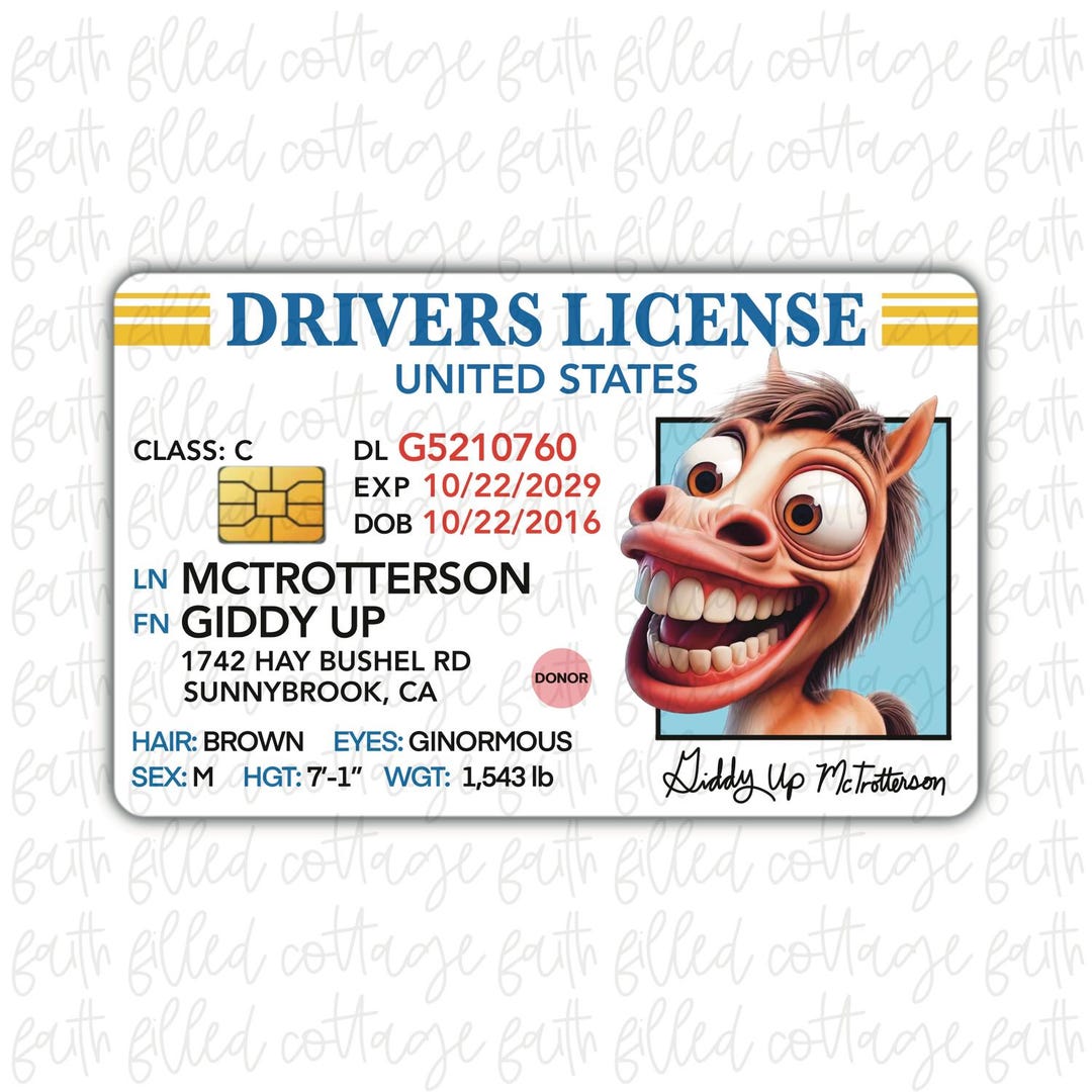 Funny Drivers License Horse - Drivers License, Debit Card Skin, Debit ...