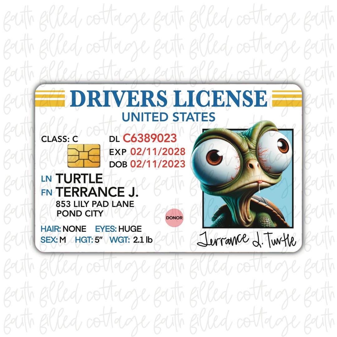 Funny Drivers License Turtle - Drivers License, Debit Card Skin, Debit ...