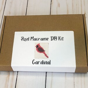 Cardinal Pixel Macrame DIY Craft Kit Small - Etsy