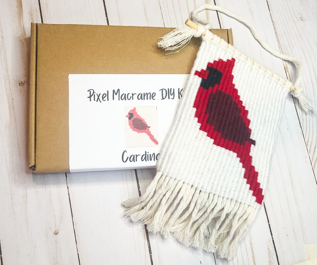 Cardinal Pixel Macrame DIY Craft Kit Small - Etsy