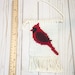 Cardinal Pixel Macrame DIY Craft Kit Small - Etsy
