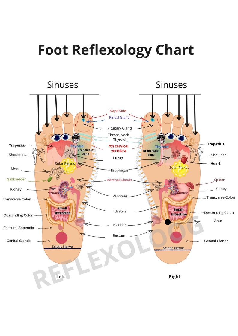 Foot Reflexology Chart EN - Etsy Australia