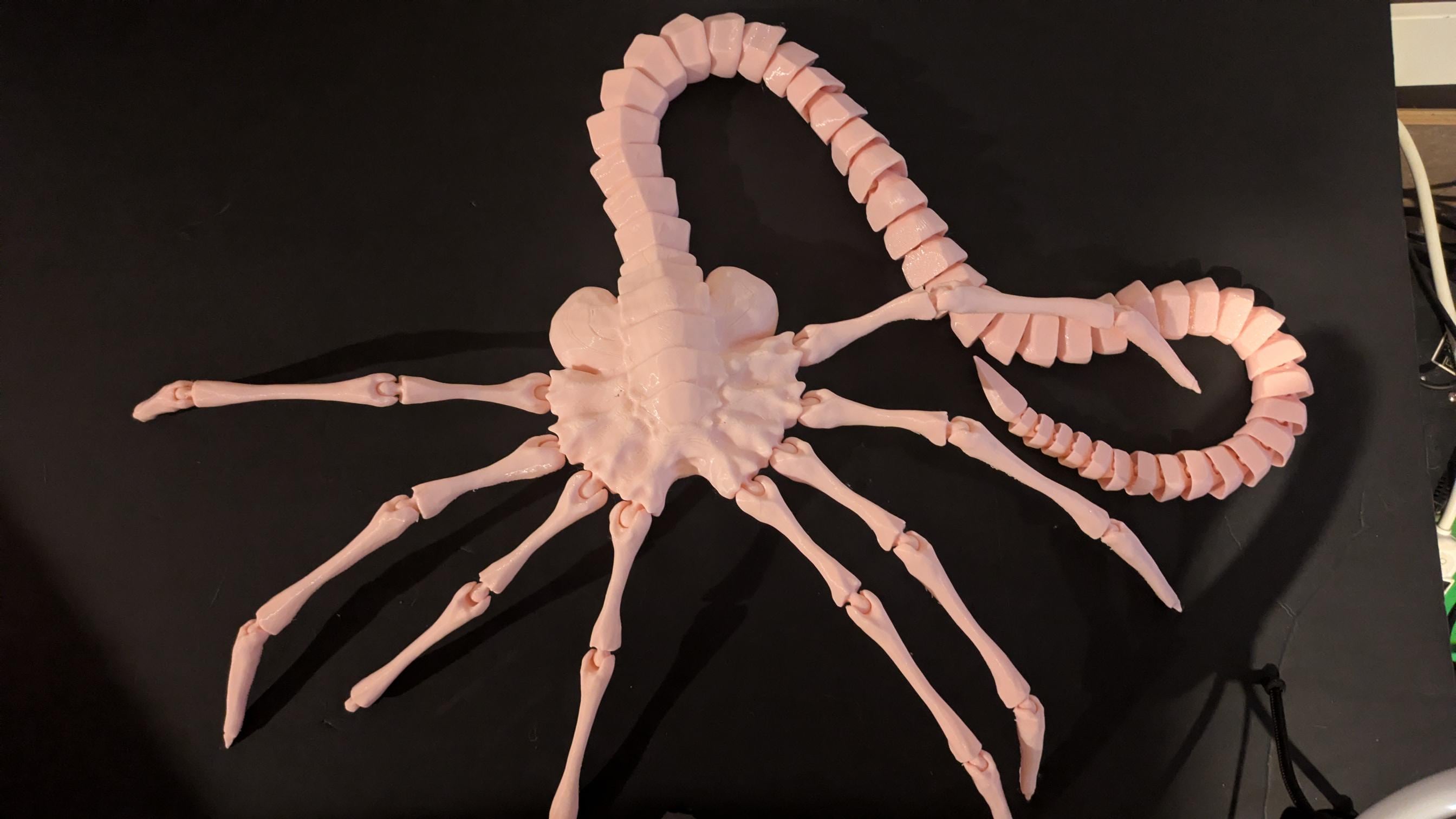 Alien Inspired Facehugger (life Size) Poseable and Paintable - Etsy
