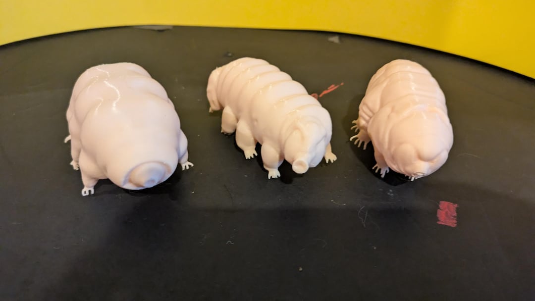 3D Printed Tardigrade Figurine, Water Bear Model, Science Gift - Etsy