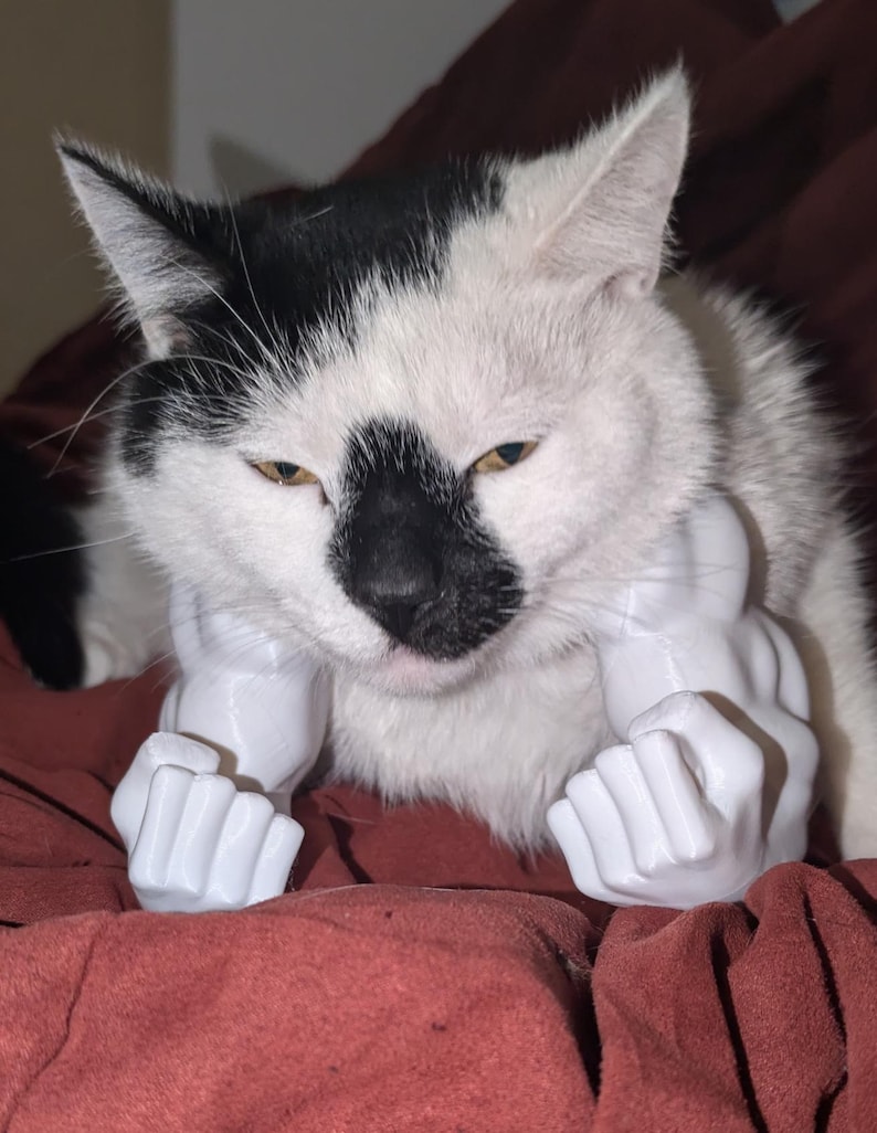 Buff Cat Arms Muscle Costume Funny Pet Cosplay Accessory for Cats and ...
