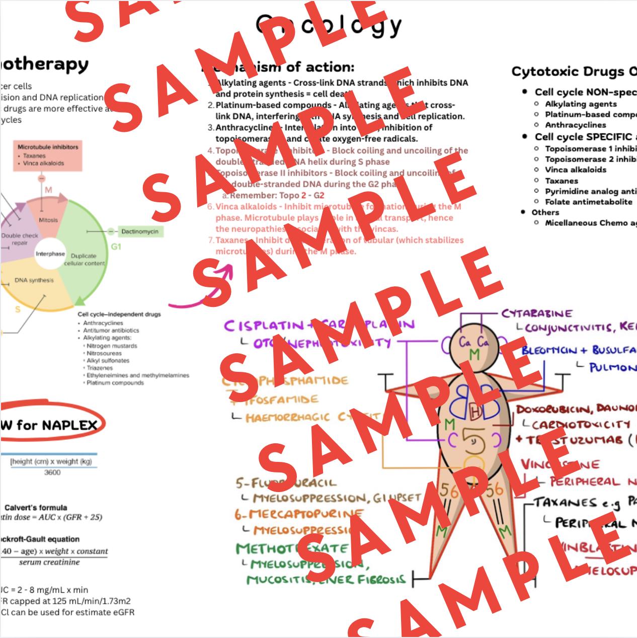 Oncology NAPLEX Study Guide: Rxprep 2025/2026, Chapter 61 (PDF Download ...