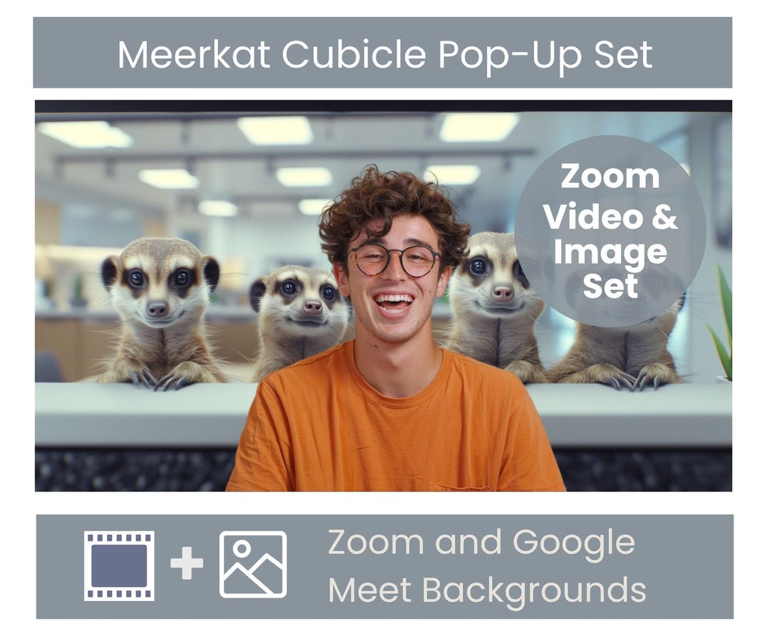 Funny Meerkat Zoom Video Background, Meerkat Video & Image Set, Virtual ...