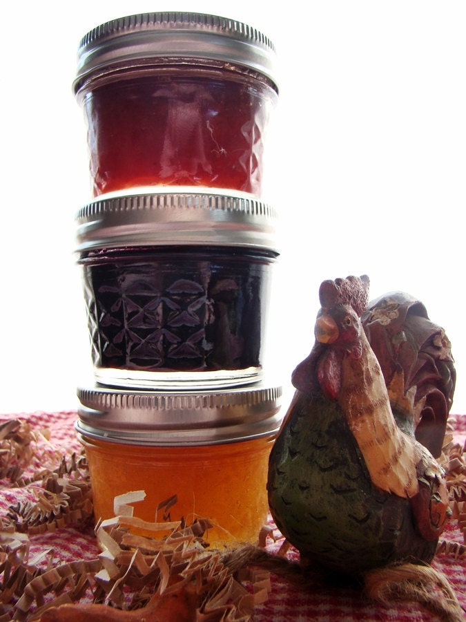 4oz Jam Trioall Natural and Vegangreat Housewarming Gift - Etsy