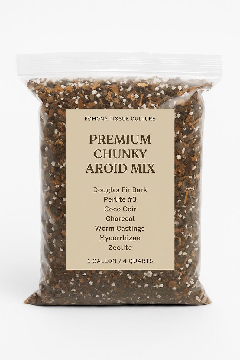 Premium Chunky Aroid Mix – Hand-blended for Monsteras, Philodendrons ...
