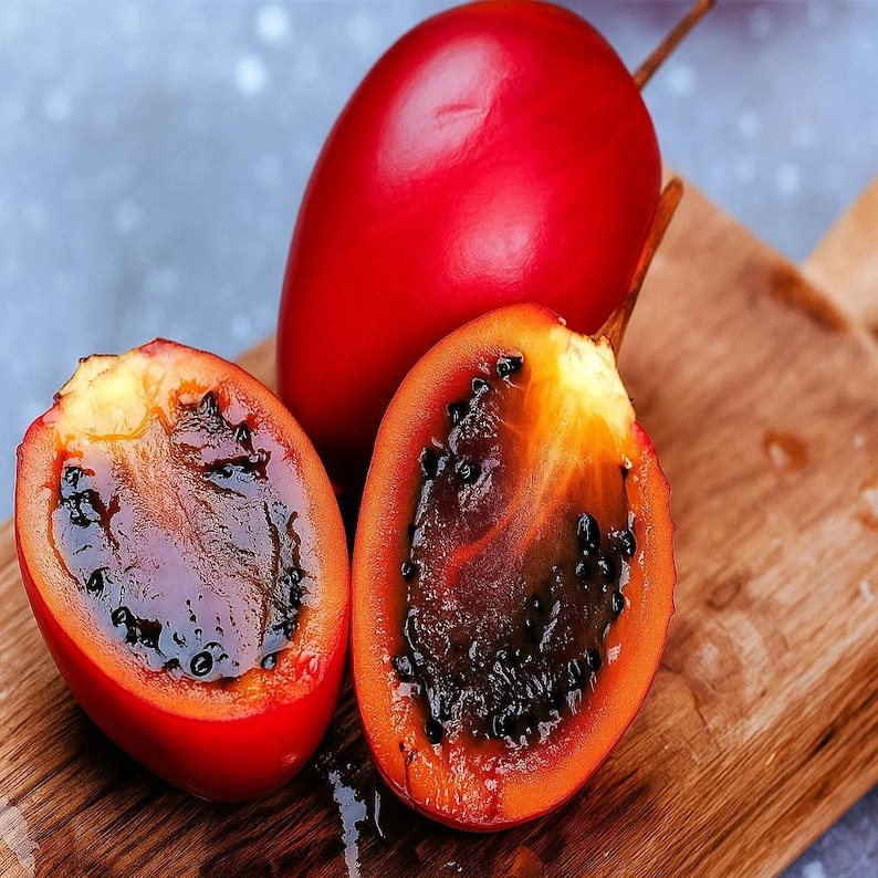 10 Tamarillo Tree Tomato Seeds – Fast-growing Fruit Tree Yields 60+ Lbs ...