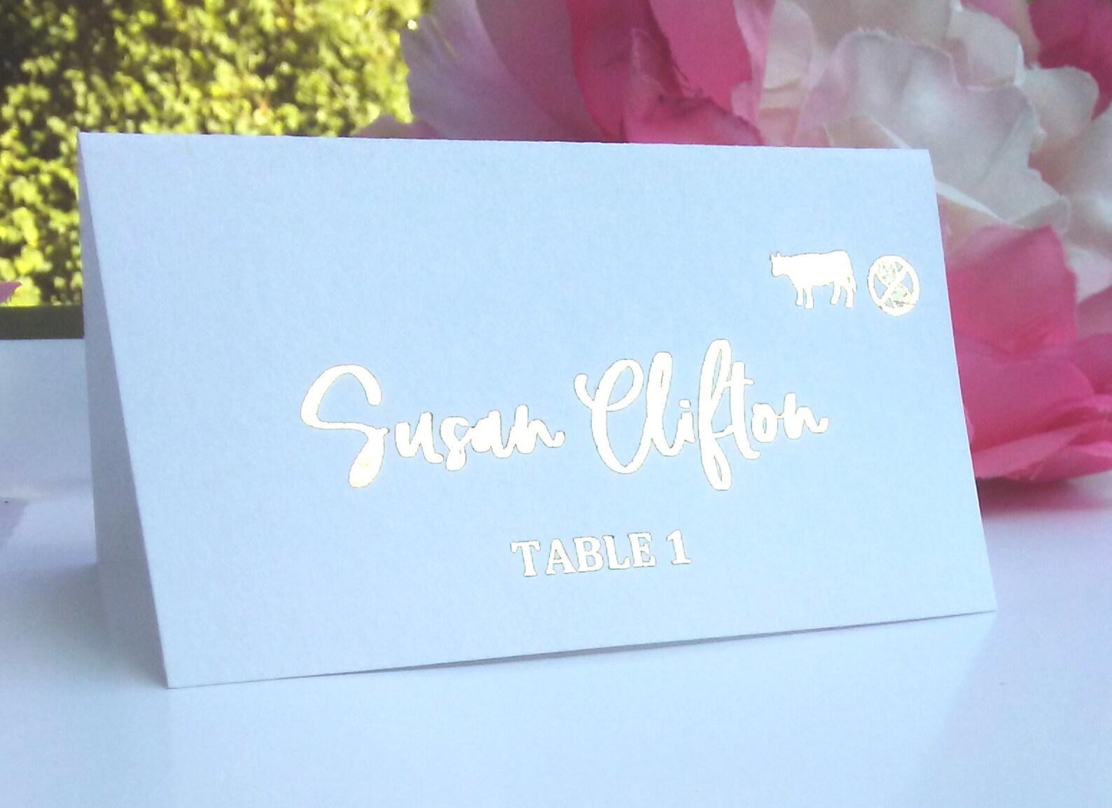Add-on to Your Original Place Cards Order - Etsy