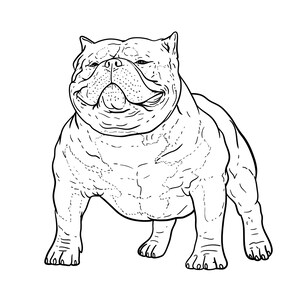 Your Picture to Custom Vector Line Art, Black and White 10hrs Turn ...