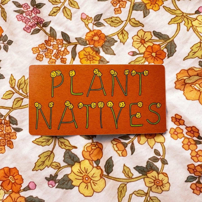 PLANT NATIVES | Victorian Bushfire Relief | Handmade Billy Button Font ...