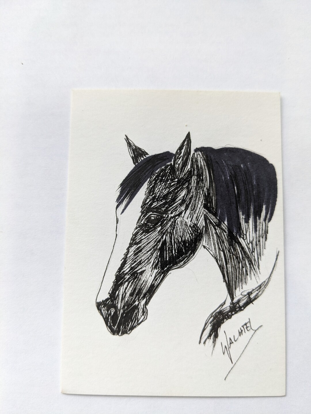 Original ACEO Ink and Marker Horse Drawing Detailed Artwork, Miniature ...