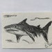 Original ACEO Drawing of a Shark Watersoluble Graphite Pencil ...