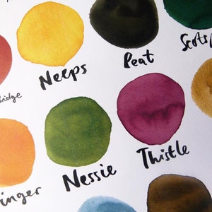 50 Shades of Scotland, Quirky Scottish Colour Chart Poster. Fun Memento ...