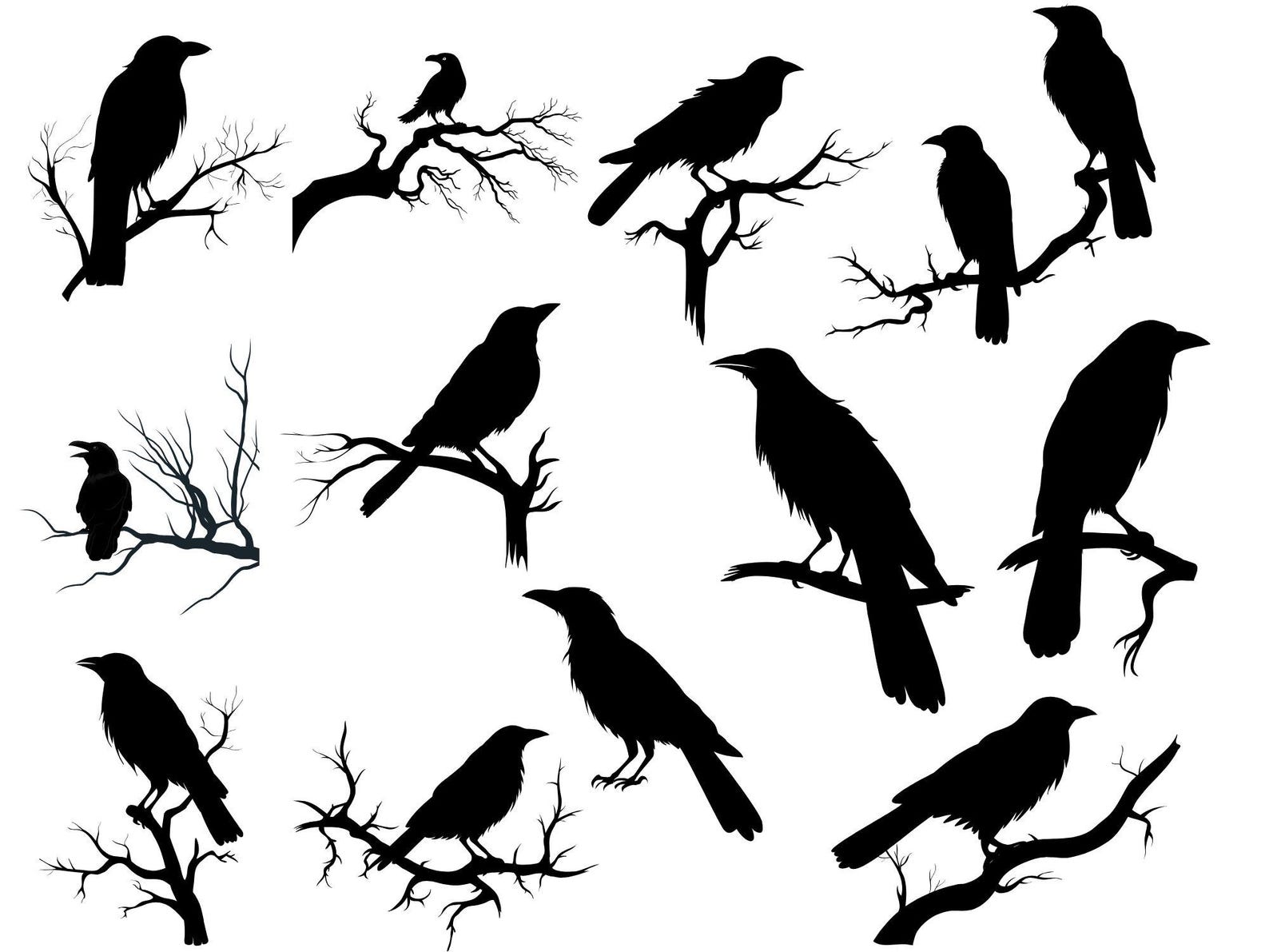 Raven on Tree Branch SVG, Crow Svg, Raven Svg, Crow Silhouettes, Crow ...