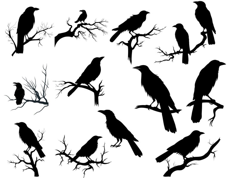 Raven on Tree Branch SVG, Crow Svg, Raven Svg, Crow Silhouettes, Crow ...