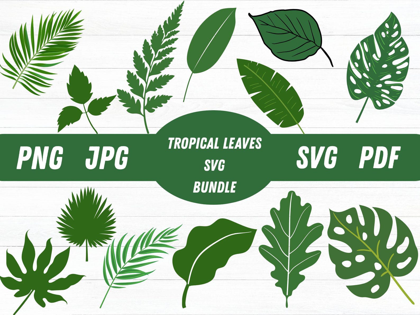 Tropical Leaves Svg Bundle, Tropical Leaf Svg, Palm Leaves Svg, Palm Branch Svg, Jungle Leaves ...