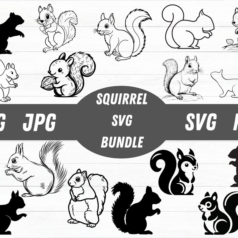 Squirrel Svg - Etsy