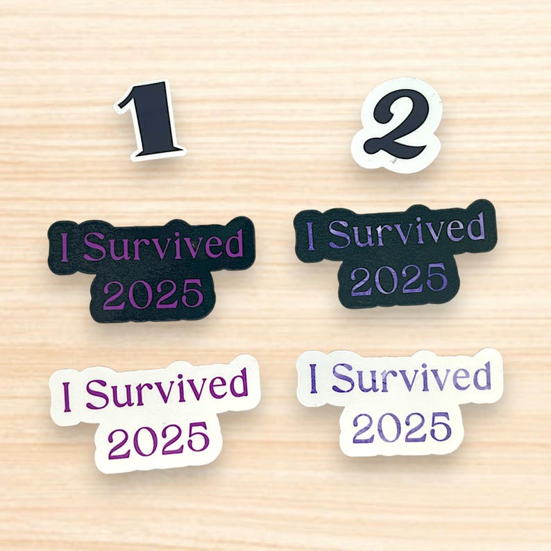 I Survived 2025 Sticker | Relatable Humor Vinyl Sticker - Etsy