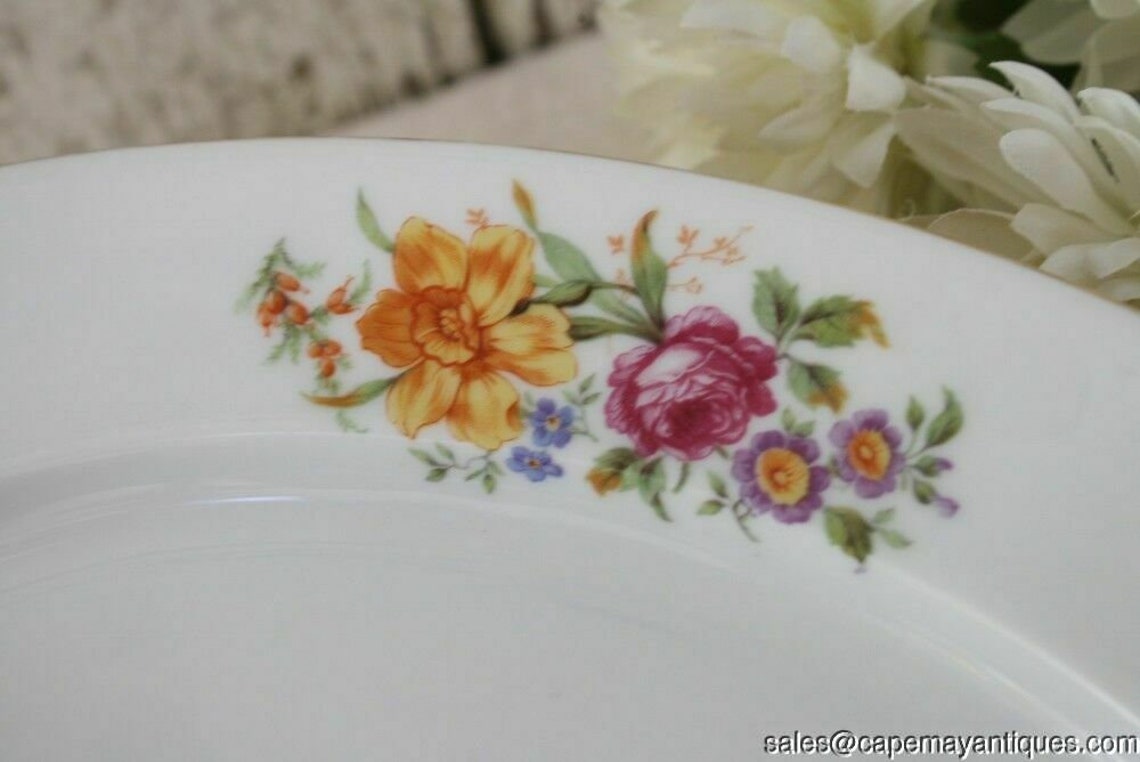 Czech Porcelain Platter Bohemian Dresden Floral Orange Tulips - Etsy