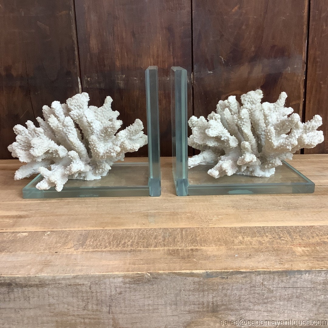 Real Sea Coral Glass Bookends Modern Vintage Design High End Classic ...
