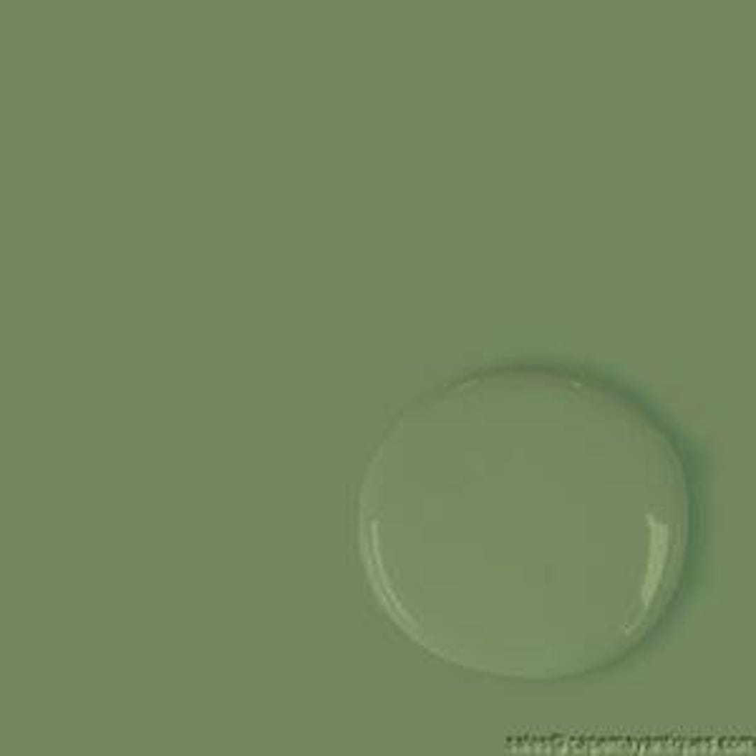 Capability Green Annie Sloan Chalk Paint 4.06 Oz Covers 18' Brand New ...