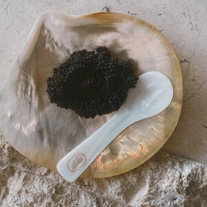 The Mother of Pearl Caviar Set - Etsy