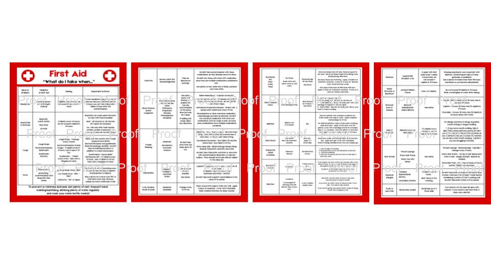 First Aid and Medication Guide and Easy Shopping List - Printable and ...