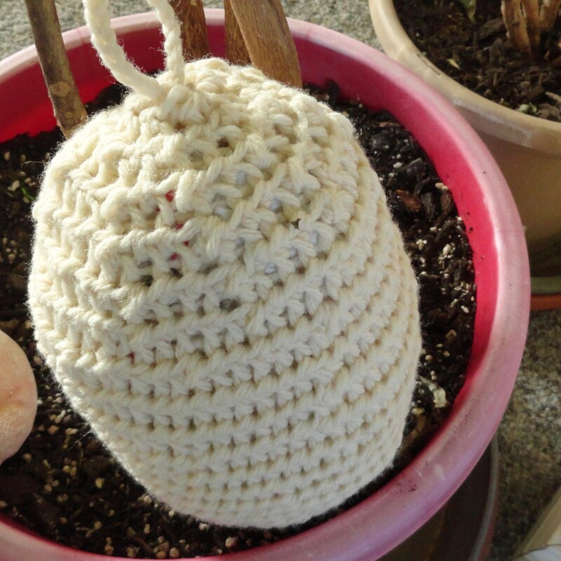 Wasps in Winter - Etsy