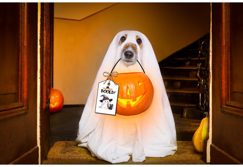 You’ve Been Booed Printable Set | Halloween Boo Game Sign, Instructions ...