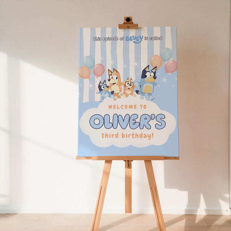 Bluey Birthday Boy Sign - Etsy