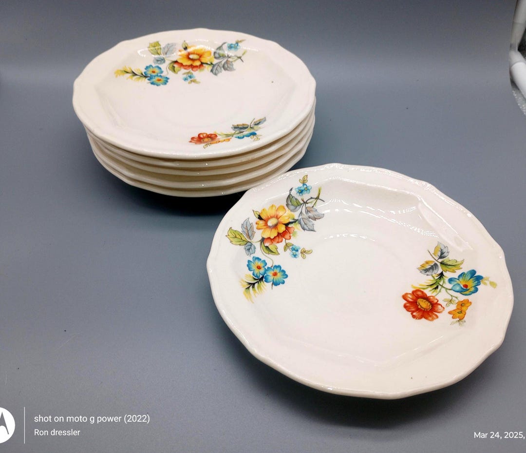 Vintage Set 6 Paramount Ivory Taylor Smith Taylor Coffee Saucers Floral ...