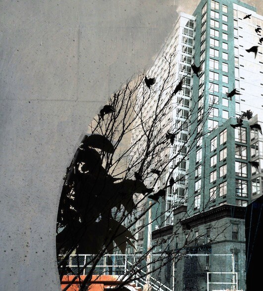 FRACTAL DISJUNCTION Fine Art Print 16 X 16 Signed - Etsy