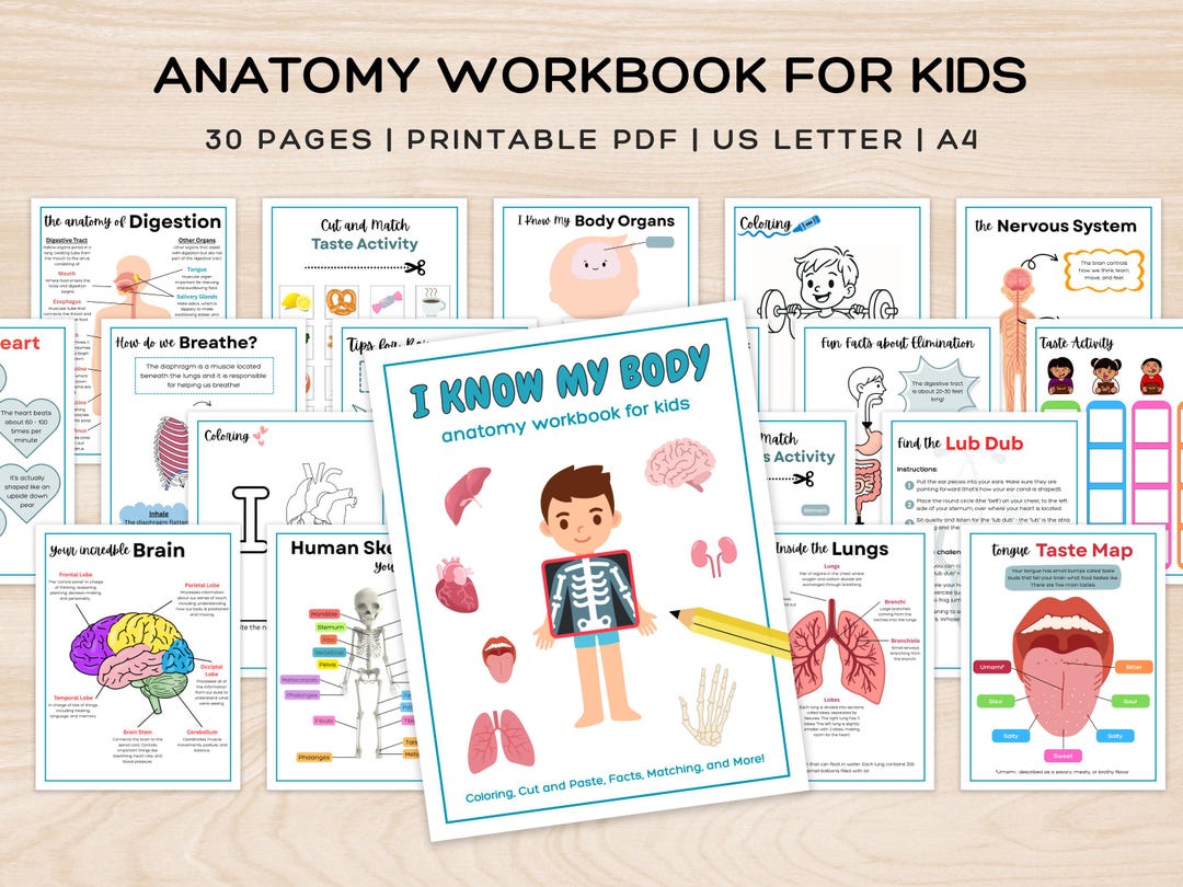 Human Anatomy Activity Workbook for Kids | Boy Busy Book Printable ...