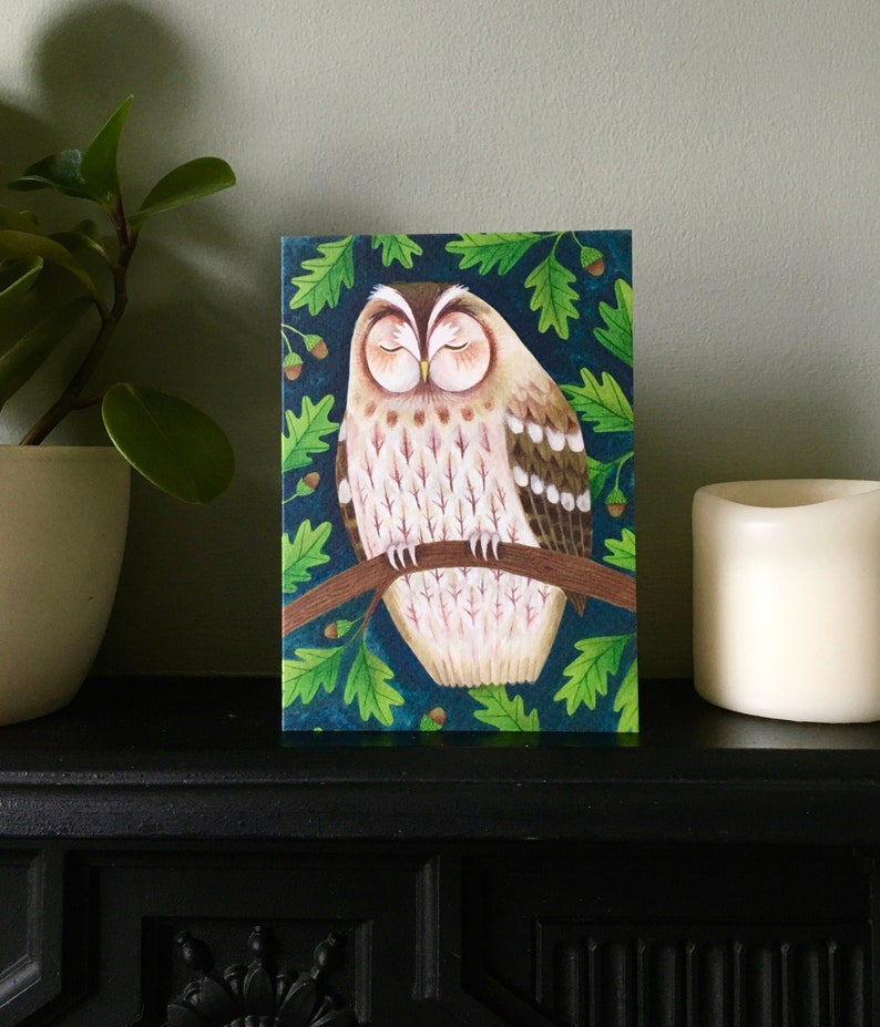 Tawny Owl Greetings Card British Wildlife Illustration | Etsy
