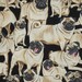 Packed Pug Pups on Black Pure Cotton Print Fabric From Timeless ...