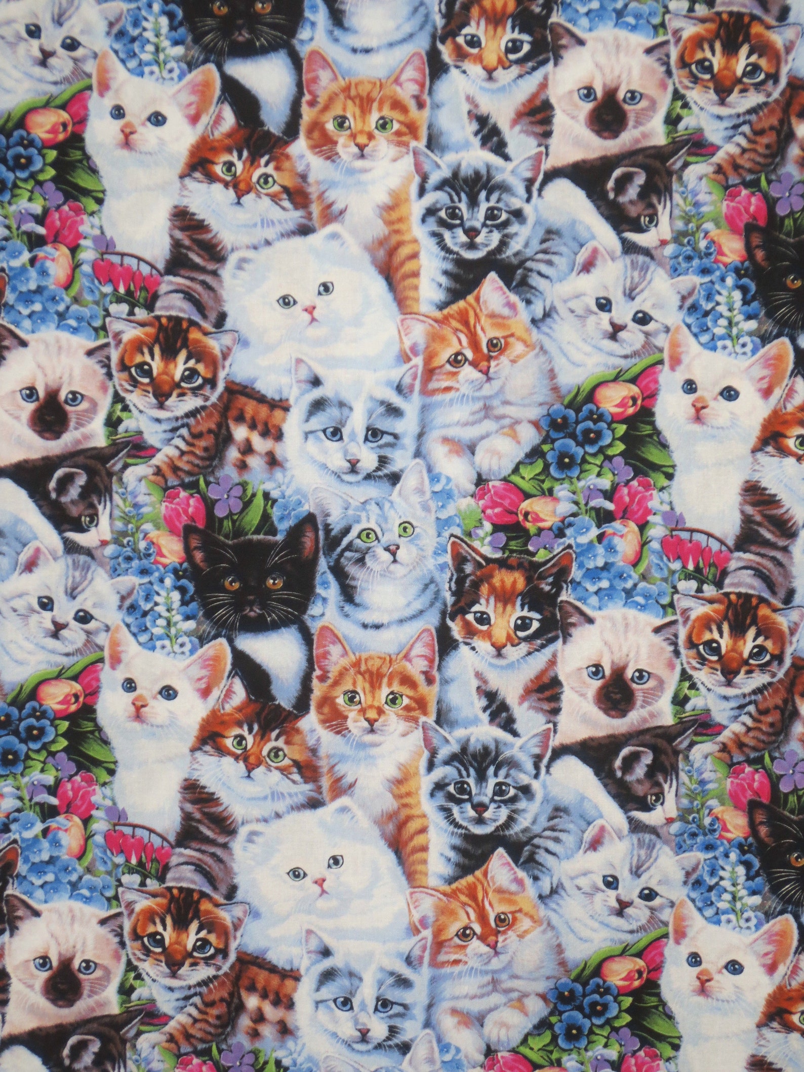 Adorable Kittens and Flowers Print Pure Cotton Fabric From - Etsy
