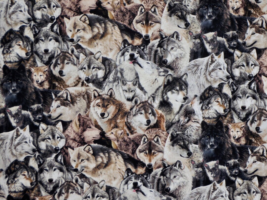 Amazing Packed Wolves Heads Print Pure Cotton Fabric From Elizabeth's ...