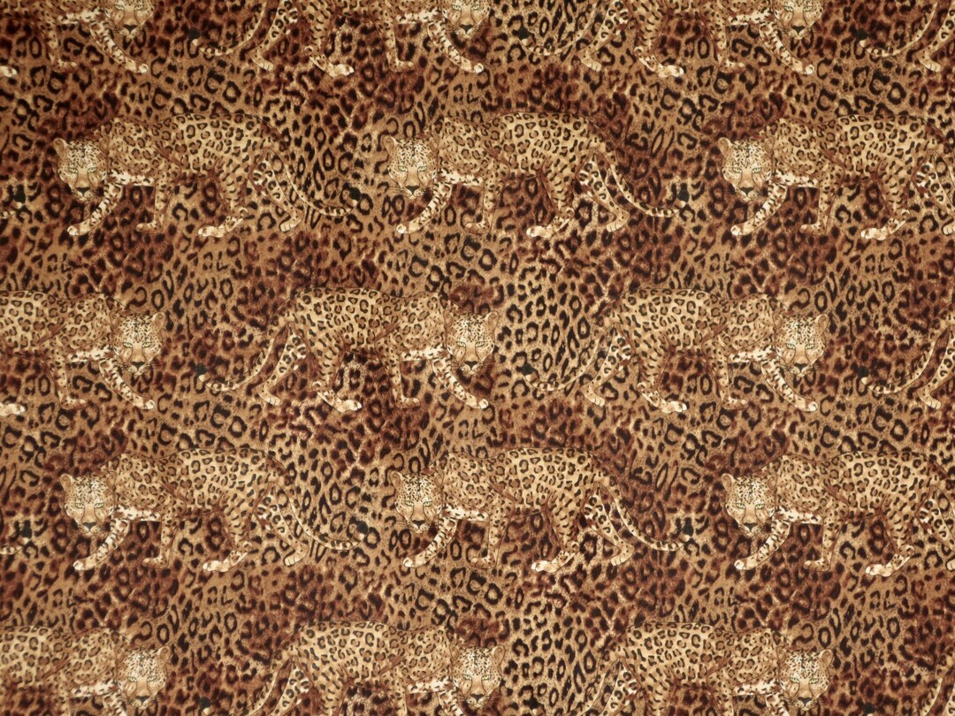 Clever Leopards in Leopard Skin Print Pure Cotton Fabric From Timeless ...
