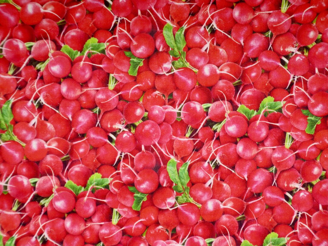 Red Packed Allover Small Radishes Print Pure Cotton Fabric From ...