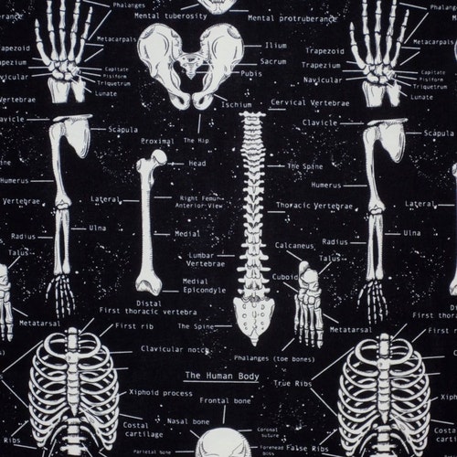 Skeleton Fabric Bone Fabric Glow in the Dark Realistic Bones | Etsy