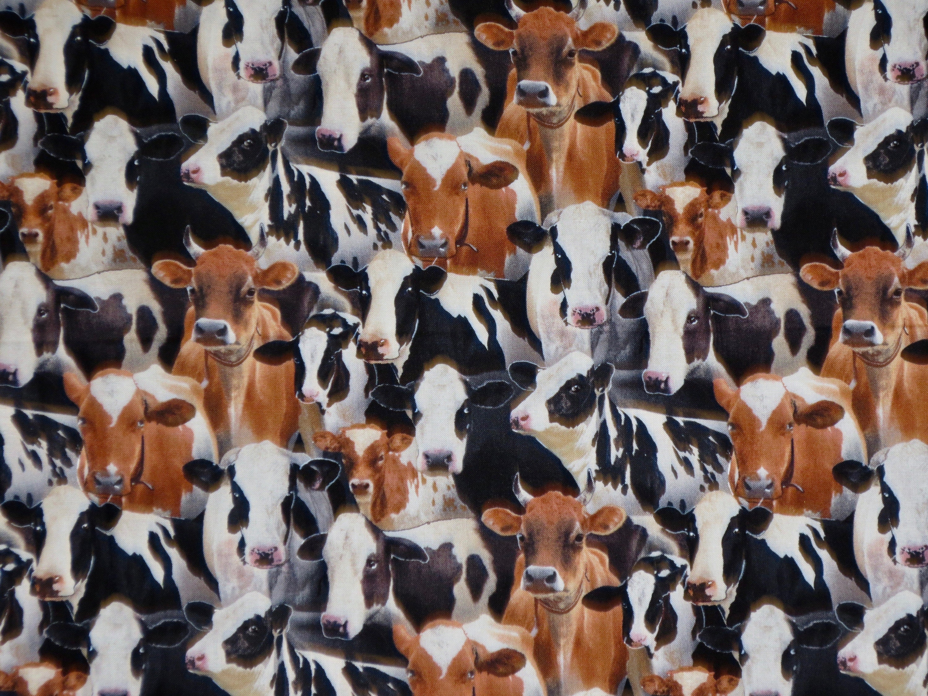 Packed Cows of All Kinds Print Pure Cotton Fabric From | Etsy