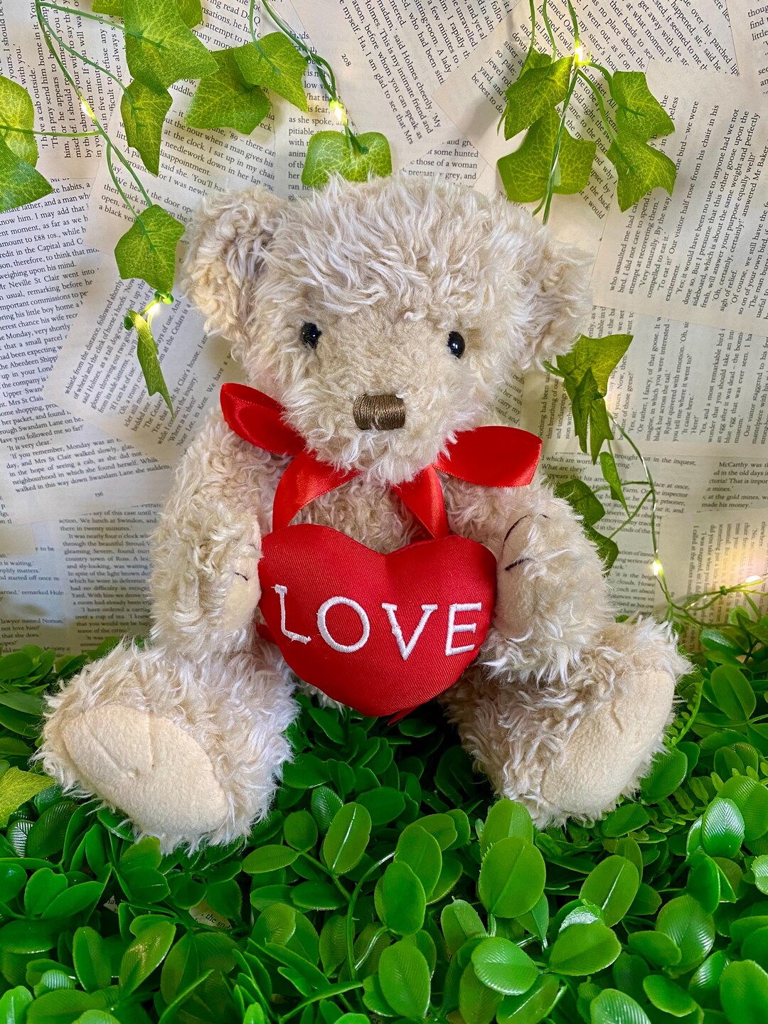 Theodore, Teddy Bear for Adoption From the Lost Bears Home, Handpicked ...