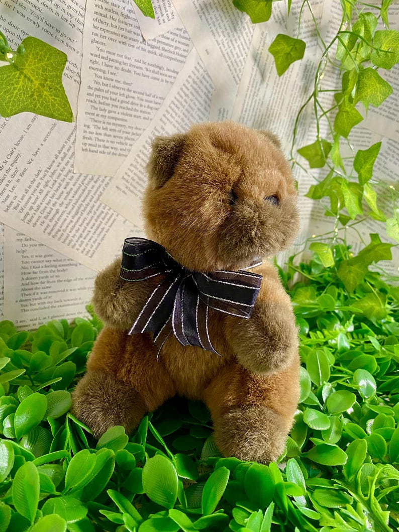 Bernie the Beaver, Adopt a Plushie, Handpicked and Preloved - Etsy