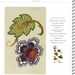 A-Z of Crewel Embroidery From the Publishers of Inspirations Magazine ...